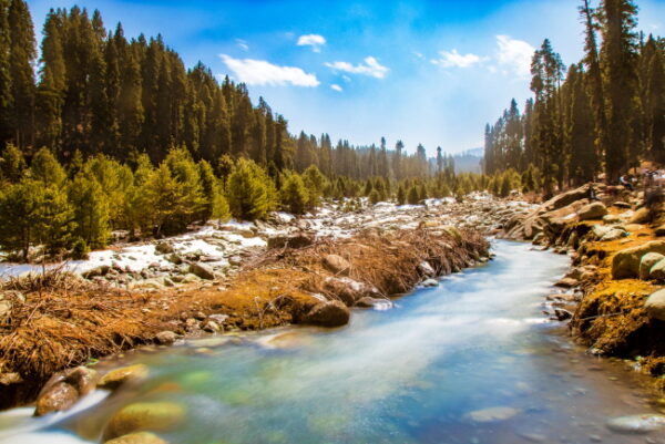 Doodhpathri in Kashmir | Things You Should Know Before A Visit To The ...