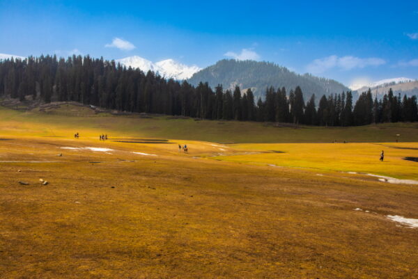 Doodhpathri in Kashmir | Things You Should Know Before A Visit To The ...