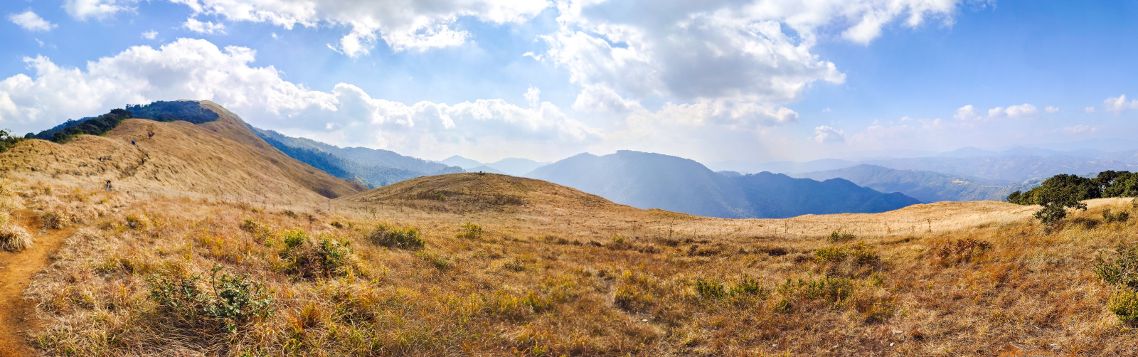 A trek to Shirui Hill near Ukhrul in Manipur - My Travel Frames