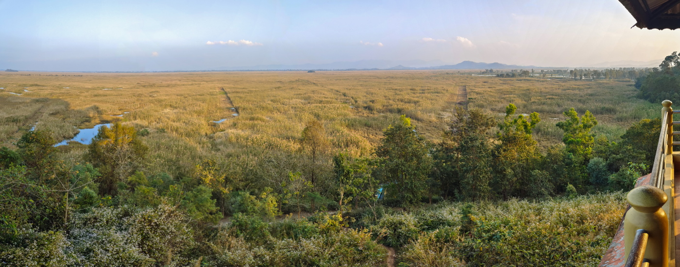 Keibul Lamjao National Park | The Only Floating National Park In The ...